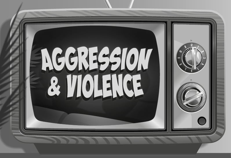 Handling Aggression & Violence | Training